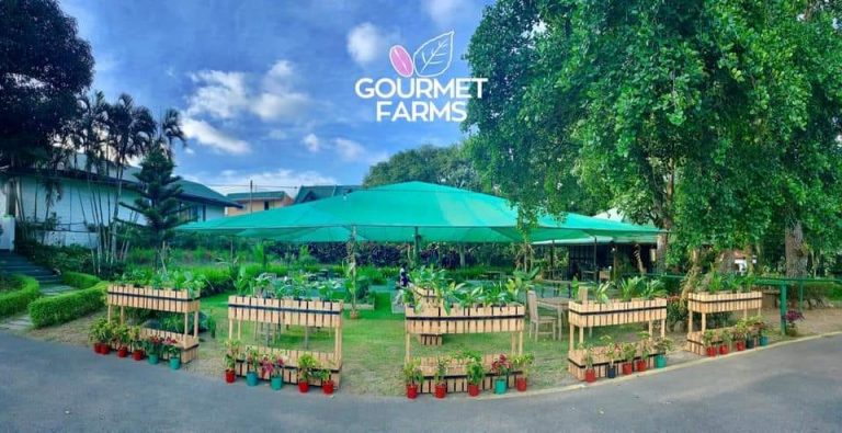 Fiber Internet Provider in Cavite | Serviceable Areas | Streamtech